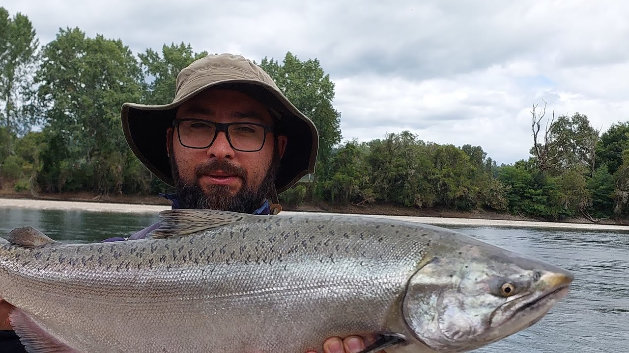 video de corta duración pesca de Jack de salmón chinook Con equipo Utra ...