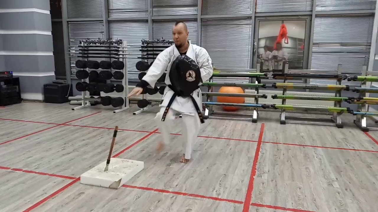 Kanegawa no Tinbe (excerpt), Ryukyu Kobudo kata with shield Tinbe and ...