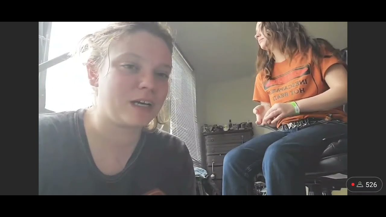 LURKER IRL SENDS A TTS DONO THAT ALICE DID NOT LIKE. GOOCHEESE WASN'T ...