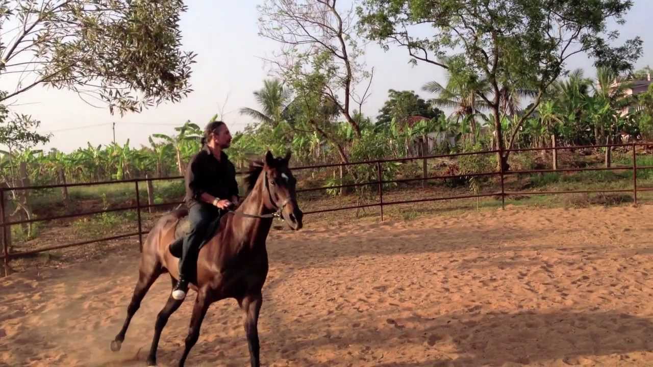 Horse and Soul with Philippe Beaufour in India 2012 www.niamaste.com ...