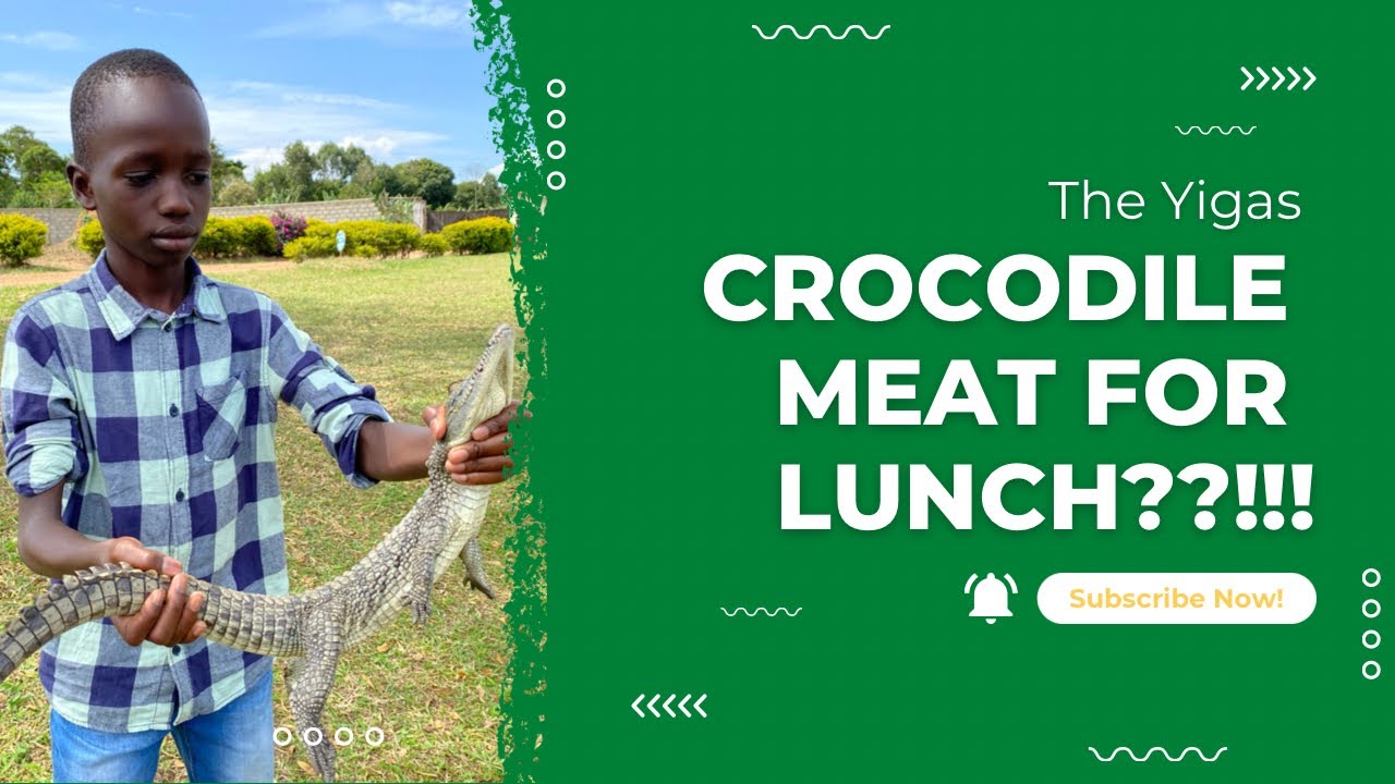 CROCODILE 🐊 MEAT?!!! Buwama’s FAMILY ATTRACTION | Where to go with Kids ...