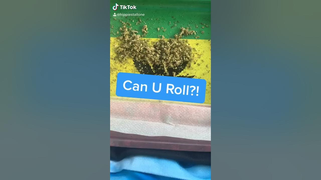 How To Roll A Joint Without A Filter [hippie Style] Youtube