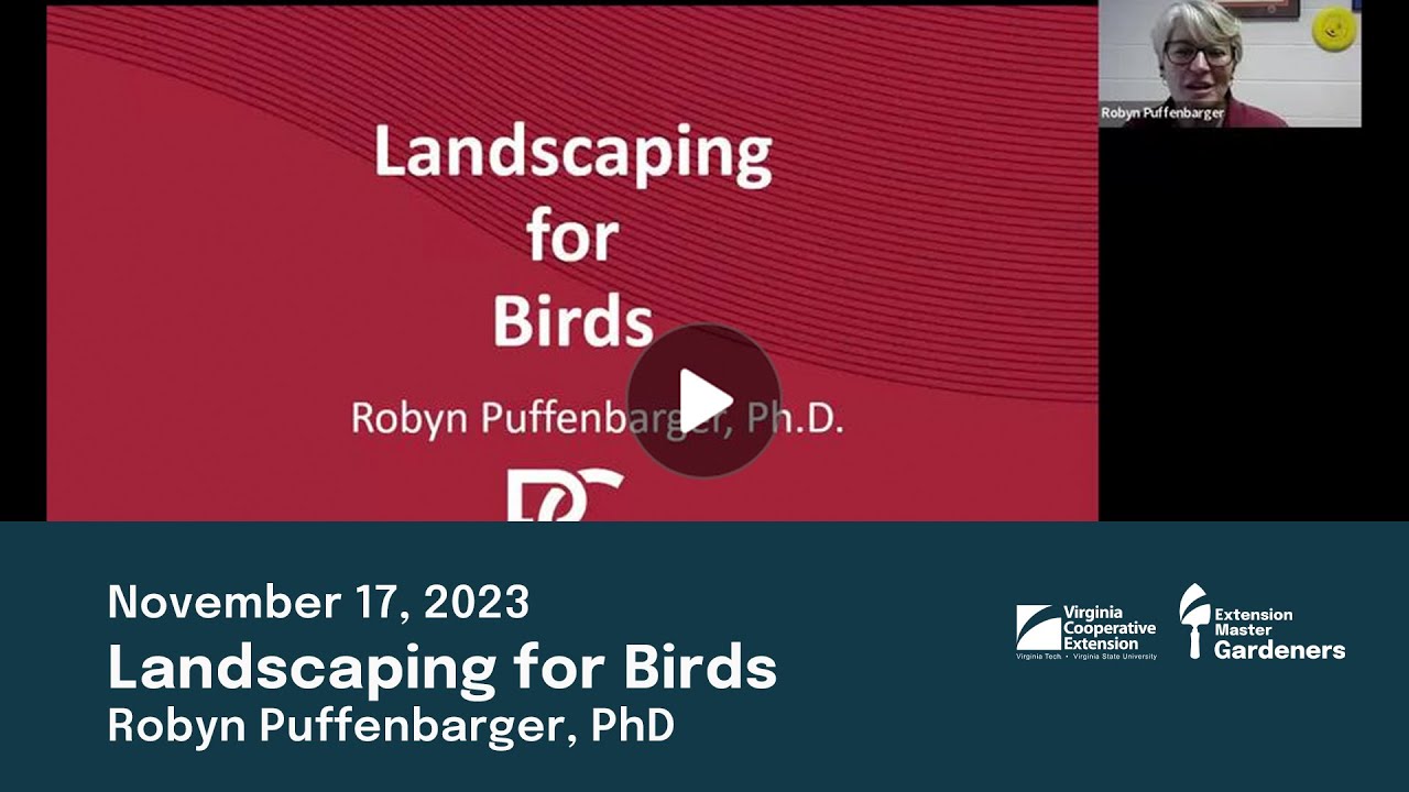 Landscaping for Birds - Robyn Puffenbarger - November 17, 2023 - YouTube