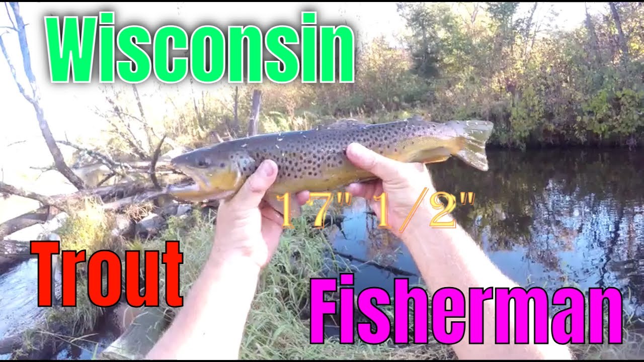 TROUT Fishing TIPS - Trout Fishing with Spinners - YouTube