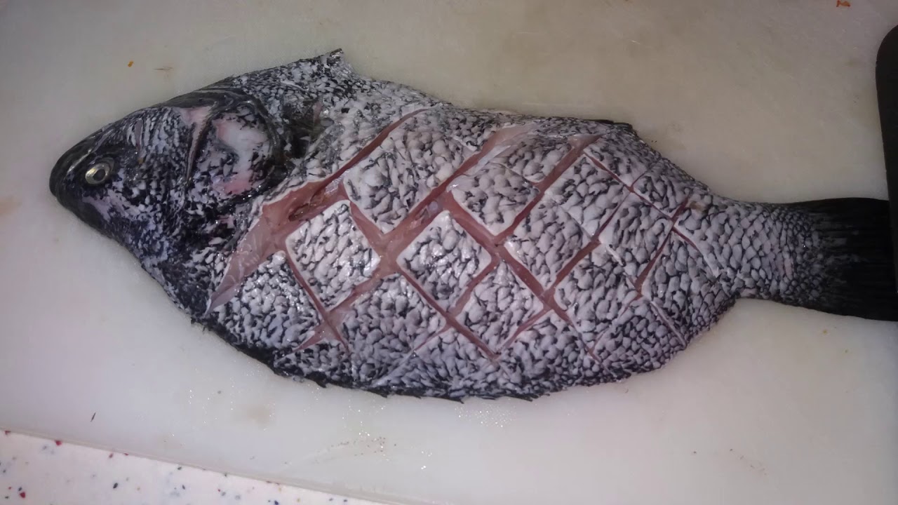 how to Roast Fish in a filed - YouTube