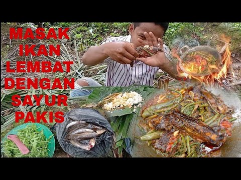 Tumis sayur pakis dengan lele atau lembat rawa sederhana langsung di ...