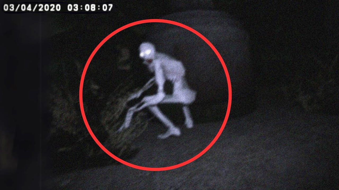 Most Mysterious Creatures Ever Caught On Camera | Mega Comp V1 - YouTube