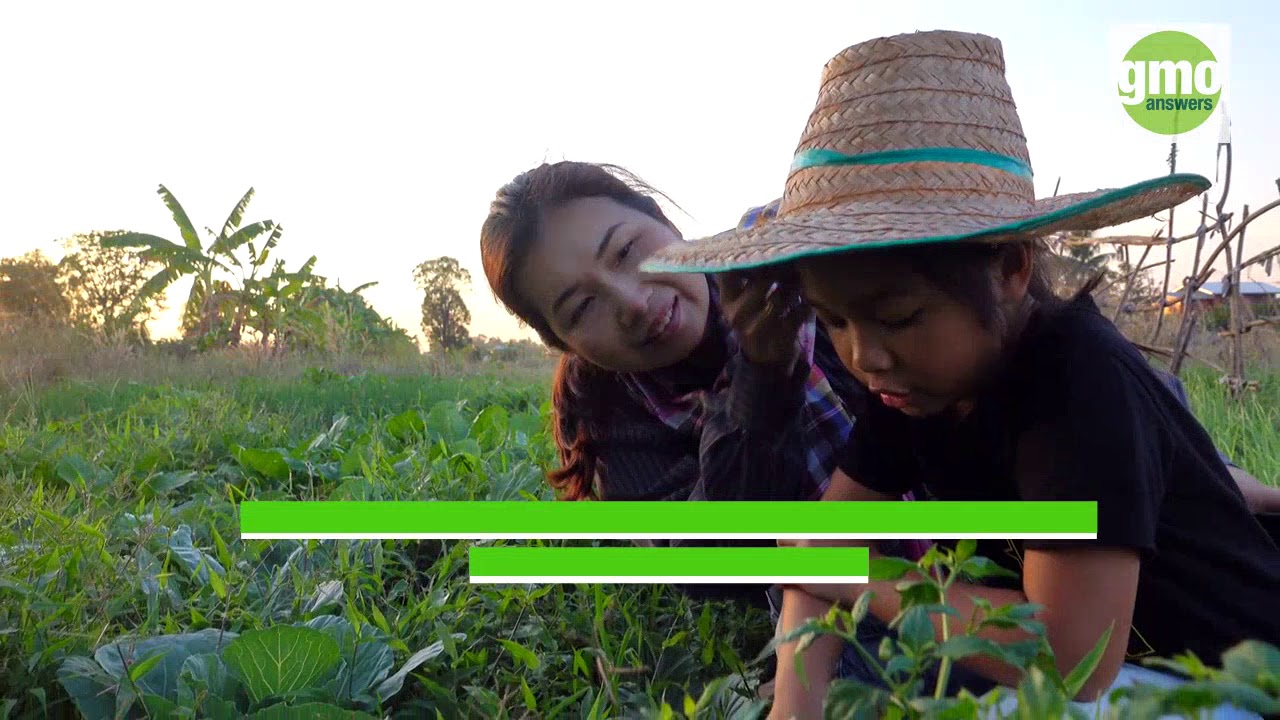 GMOs 101 - Do only private companies conduct research on GMOs? - YouTube