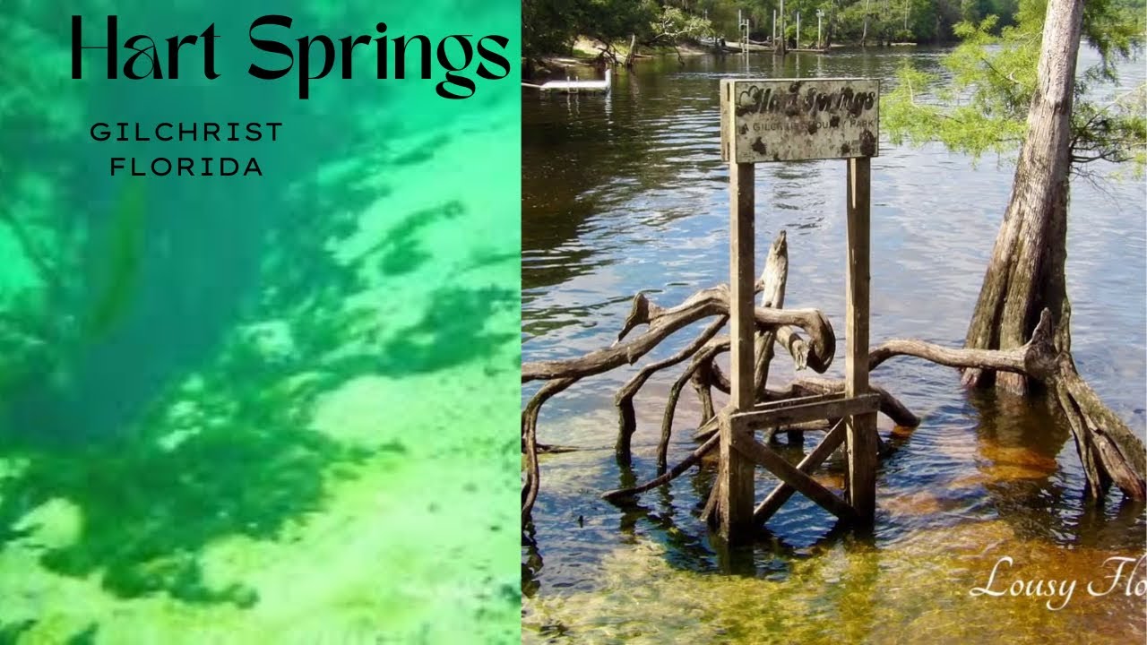 Summertime visit to Hart Springs in Gilchrist, Florida - YouTube