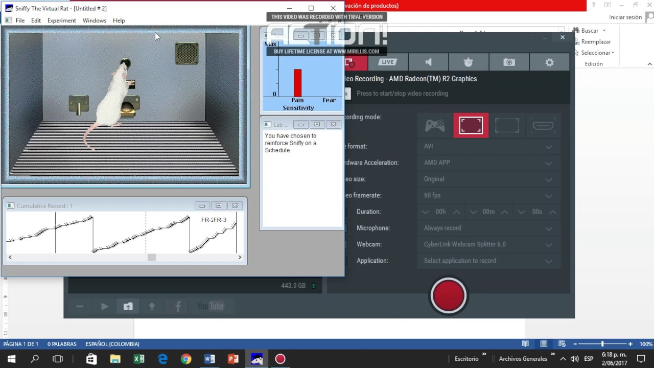 Rata virtual Sniffy - YouTube