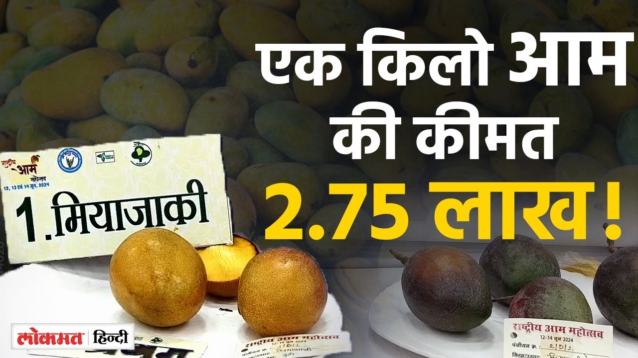 National Mango Festival में दिखा 4 किलो का Hathi Jhool, Miyazaki देख ...