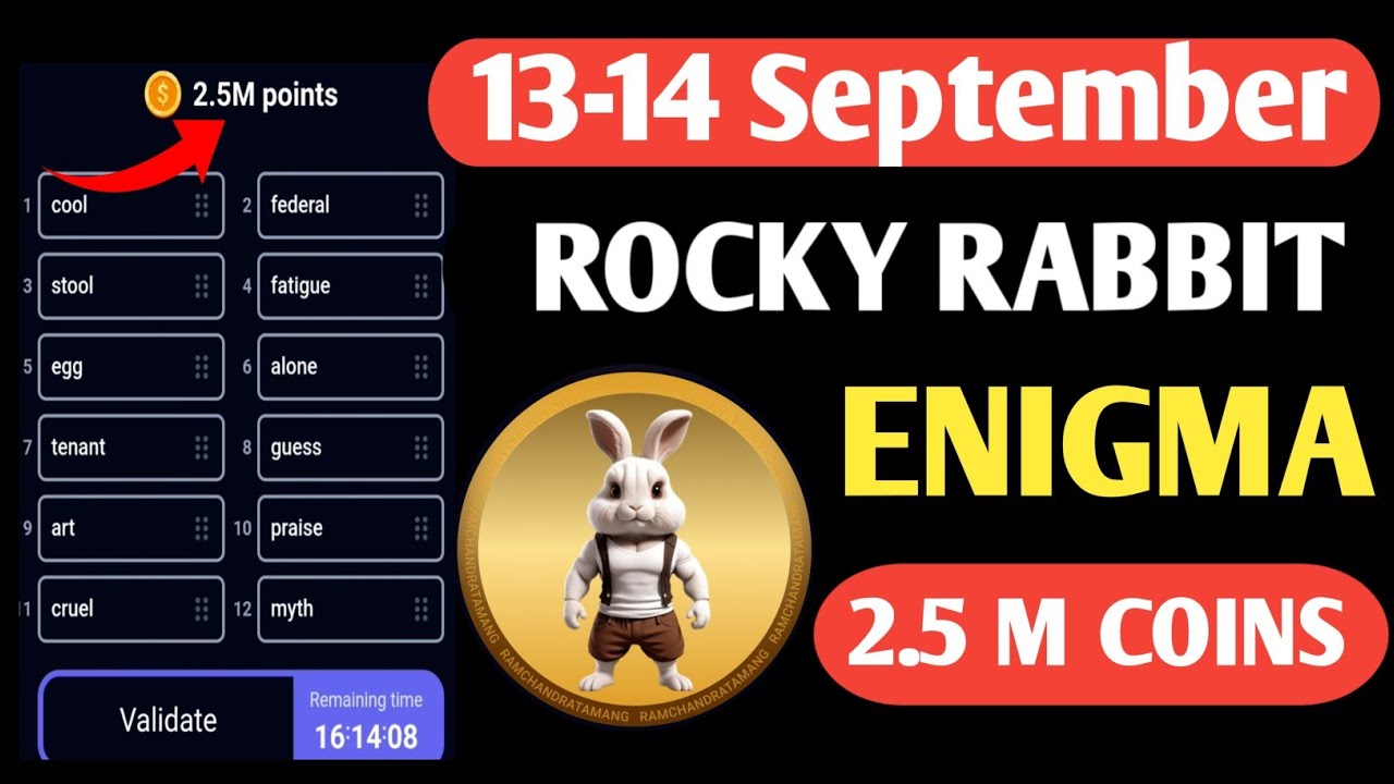 Rocky Rabbit Enigma 13-14 September |🐰 Rabbit Enigma Today - YouTube