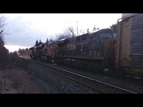 BNSF! CSX! CPKC 137 West at Cooksville - YouTube