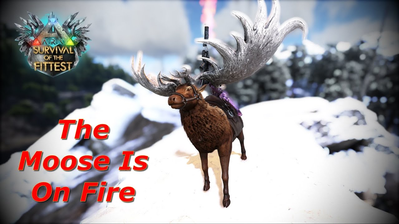 The Moose And Flame Win Me The Game Ark Survival Of The Fittest - YouTube