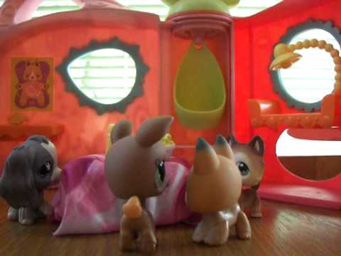 LPS summer camp - YouTube
