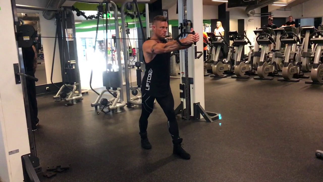 Horizontal Flyes, Standing Cable - YouTube