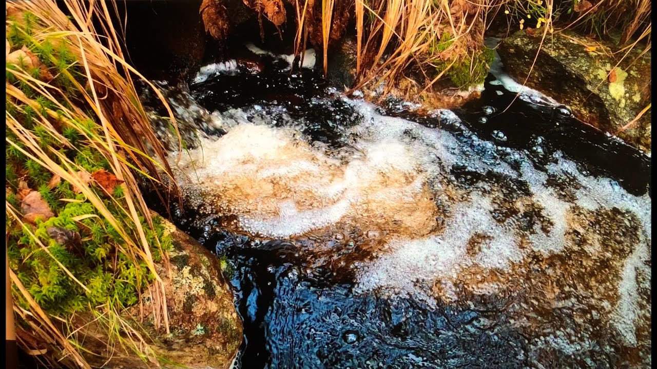 Running Water in a Brook - Beautiful Forest Hike With Natural Water ...