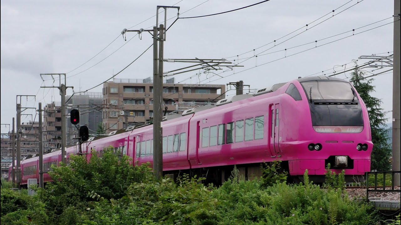 E129系車両不足による代走E653系U107編成【4K】信越本線3481M - YouTube