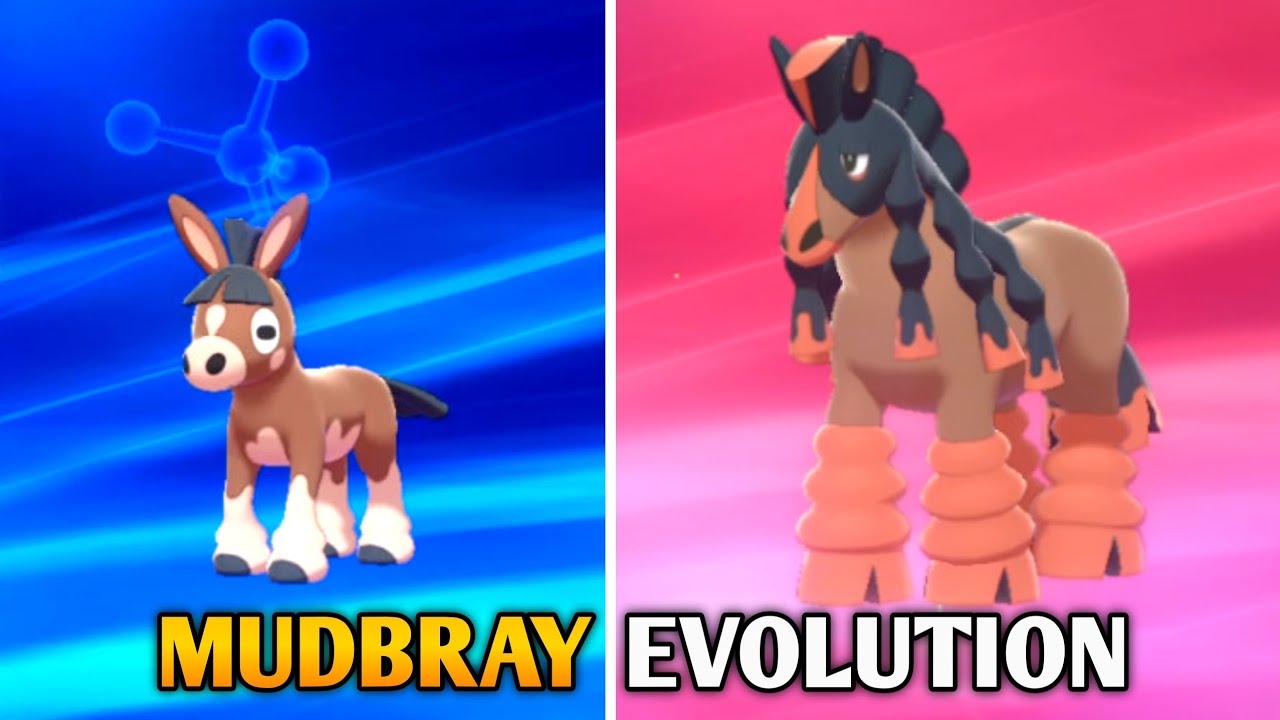 Mudbray Evolution In Pokemon Sword & Shield | Galar Pokedex - YouTube