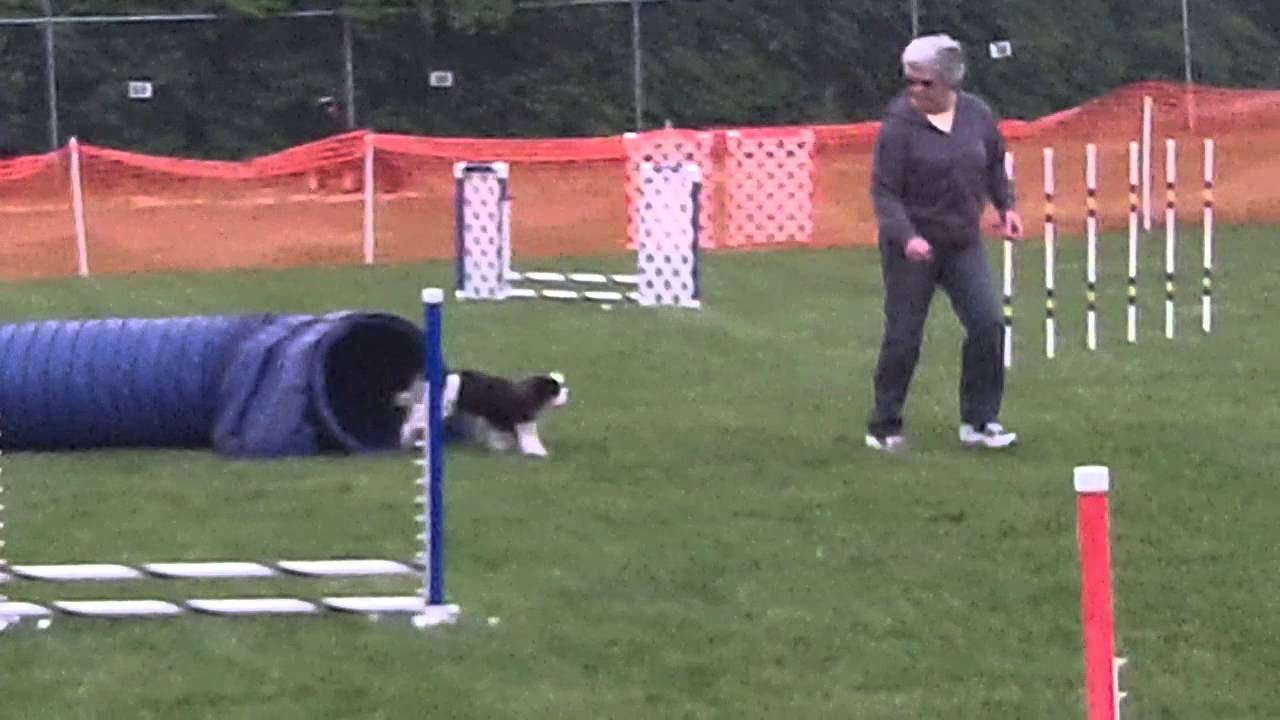 Catch 4 Daisy - YouTube