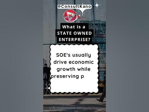 What Is A State-Owned Enterprise SOE or SOC | Public Sector Undertaking PSU Explained ...