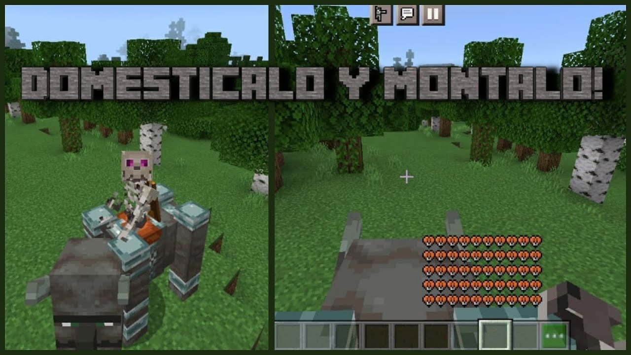 Como domesticar un DEVASTADOR | Mod's MCPE 1.17 - YouTube