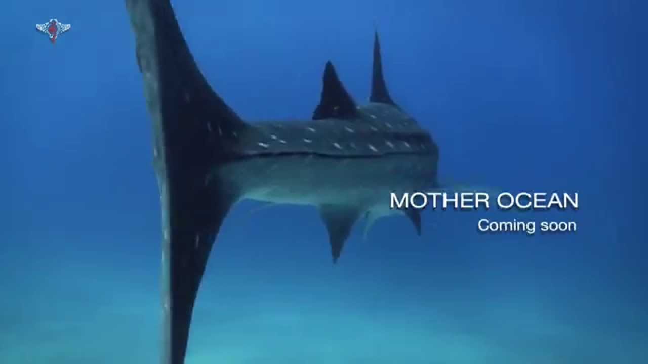 Mother Ocean Trailer (English) - YouTube