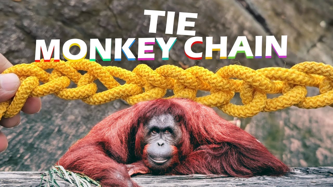How to Tie a Monkey Chain Knot #knots #knottying - YouTube