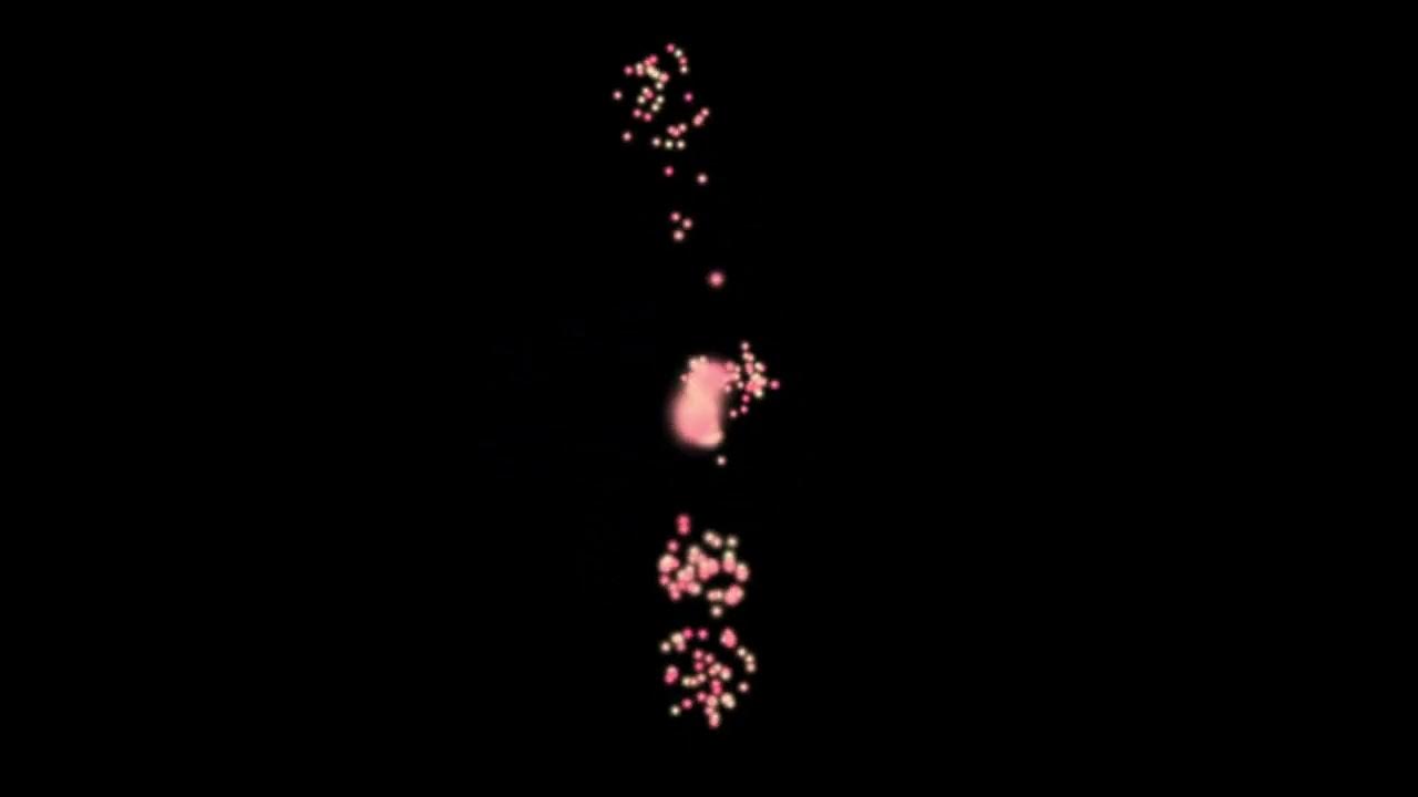 Particles Gravity Dance VIsualizer - YouTube