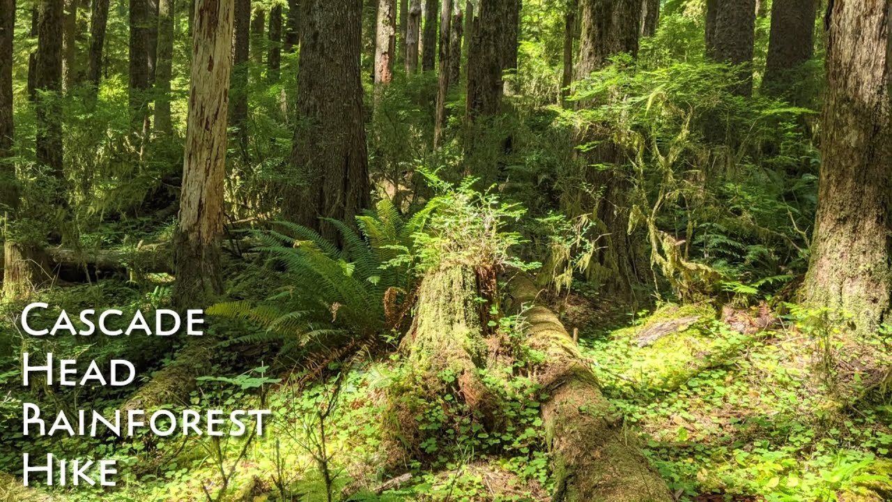 Cascade Head Rainforest Hike Guide | Lincoln City, Oregon - YouTube