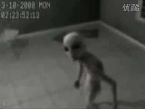Real alien - YouTube