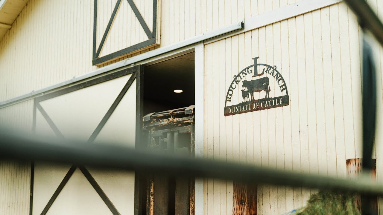 Rocking L Ranch UK Client Tour - YouTube