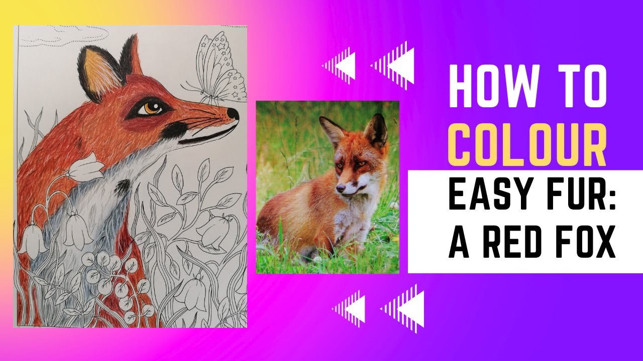 HOW TO COLOUR FUR EASILY: A RED FOX - Maria Trolle´s Stjärnfall | ADULT ...