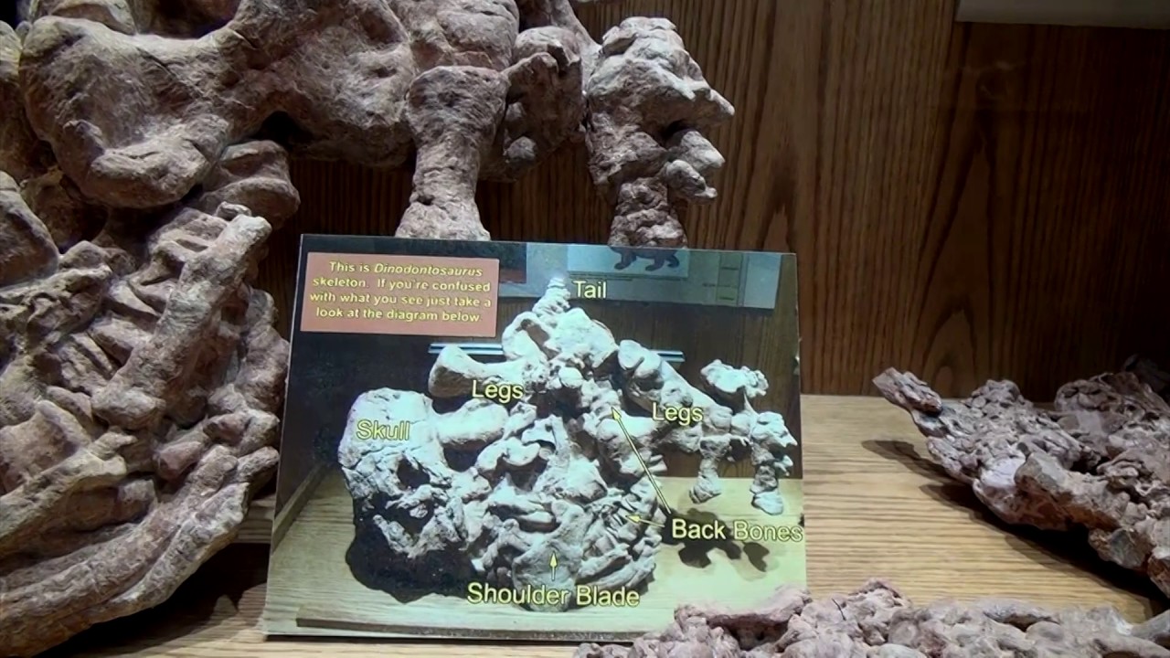 Yellowstone National Park - 2017 - Dinosaur Center of Wyoming - YouTube