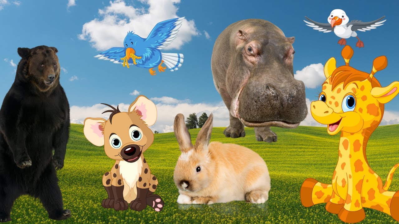CUTE ANIMALS - LEARN SOUNDS OF FARM ANIMALS - COW, HORSE, CAT, ELEPHANT ...
