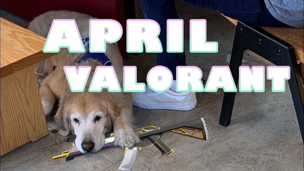 Roots | April VALORANT Montage - YouTube