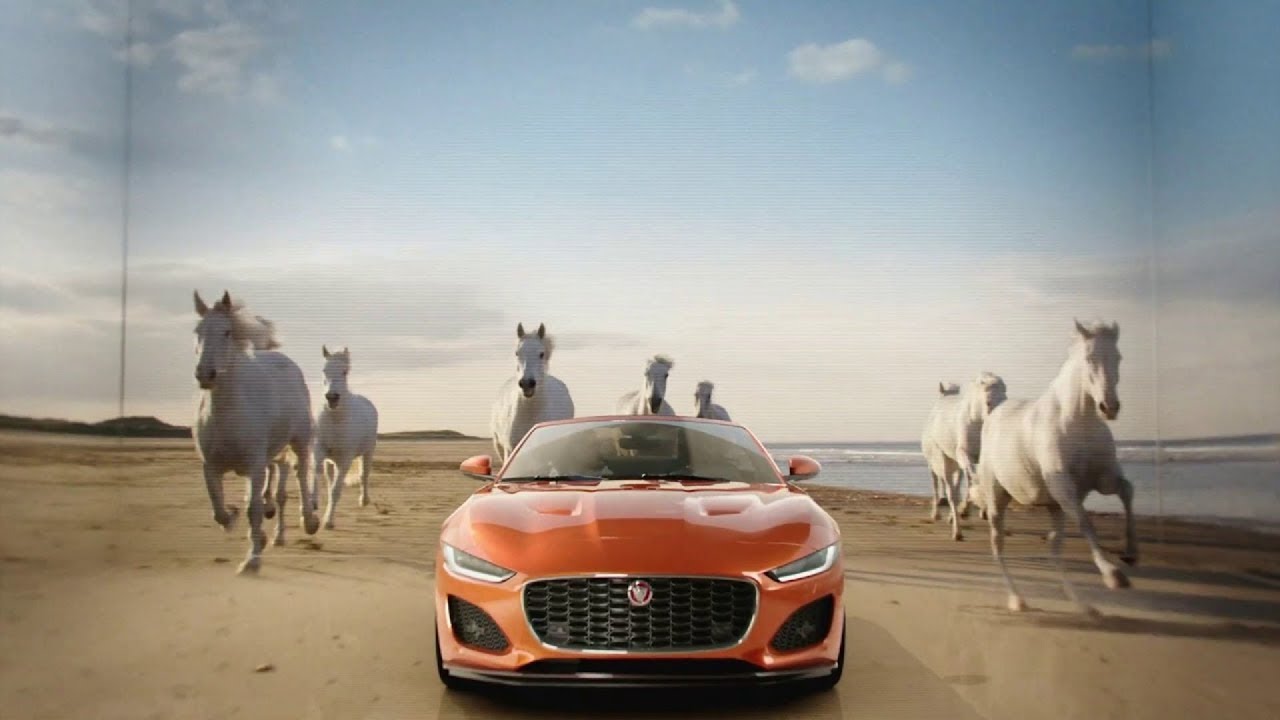 Jaguar: Strength in Numbers - YouTube