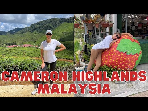 Explore Cameron Highlands With Us. 3 Days in Cameron Highlands ...