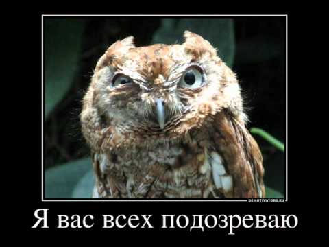 Золотые слова!!!