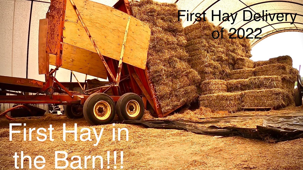 Stacking, Hauling, and Delivering Small Square Bales - YouTube