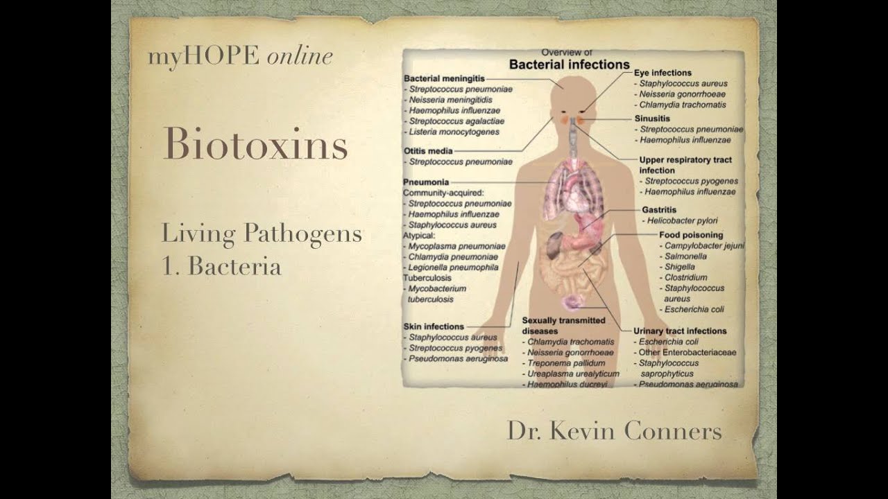 Biotoxins part 1 - Dr. Kevin Conners - YouTube