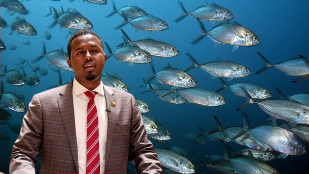 Wasiir Maxamuud Warsame Oo War Cusub U Sheegay Dadka Kaluunka Iibiya ...