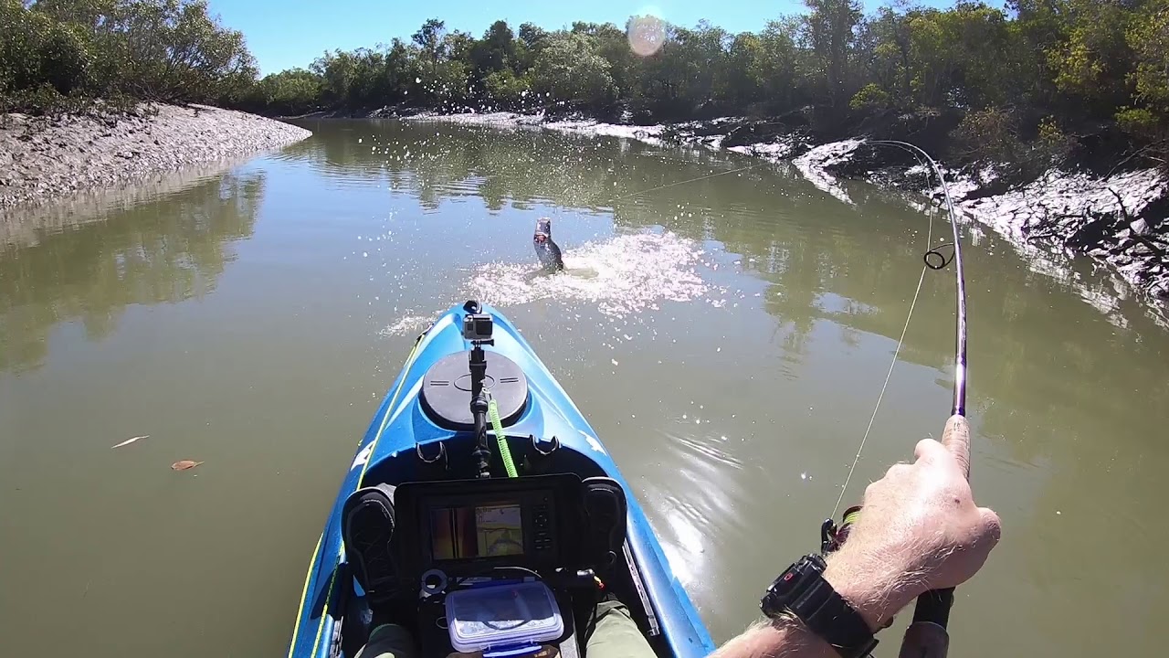 Little Winter Barra on Jem Lures 60mm soft vibe - YouTube