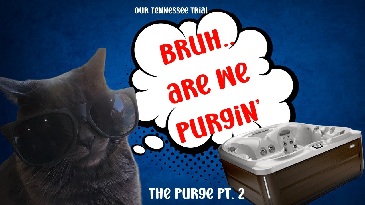 The Purge 2 ~ cleansing the big things | ~Time to bring in the holidays ...