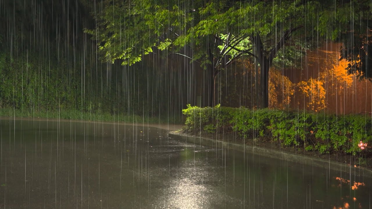 Cozy Sound of Rain│Calm│Relax│Peaceful│Rain Sounds for sleeping - YouTube