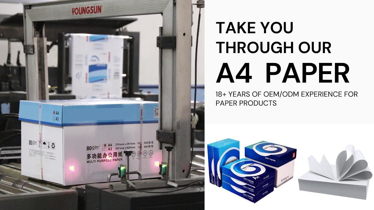 Discover the Best A4 Paper: Factory Excellence & Ready-to-Ship Stock ...