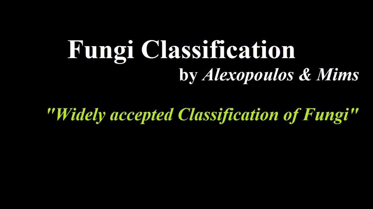 Fungi: L14/Fungi Classification by Alexopoulos & Mims - YouTube