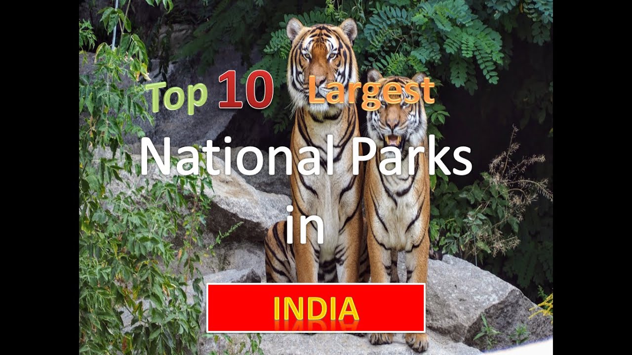 Top 10 Largest National Parks In India YouTube top-10-largest-national-parks-in-india-youtube