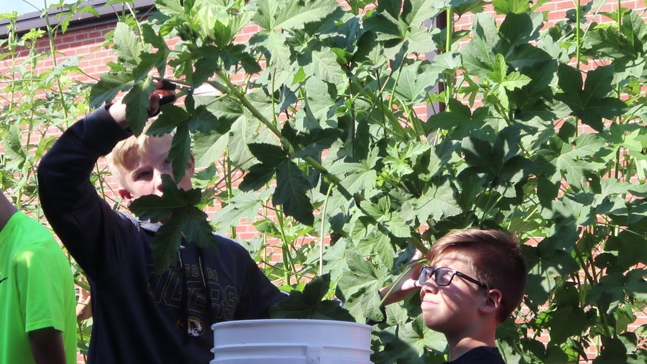 Horticulture Class - YouTube