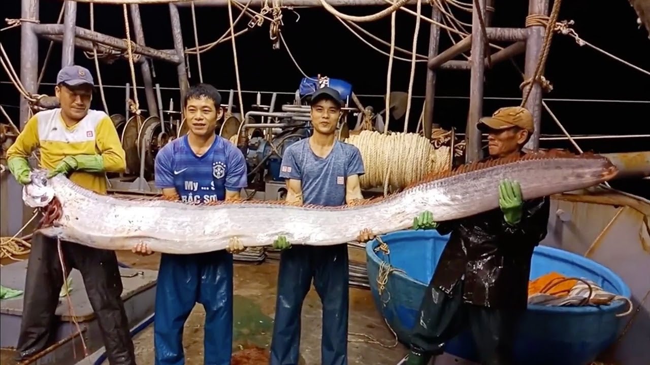 Fishermen catch giant oarfish off the coast of Vietnam - YouTube